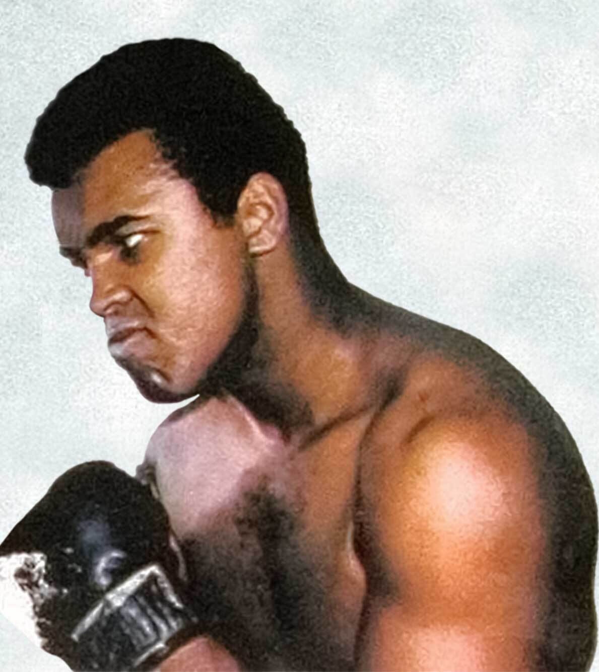 Are you related to Steve Rockwood? • FamilySearch